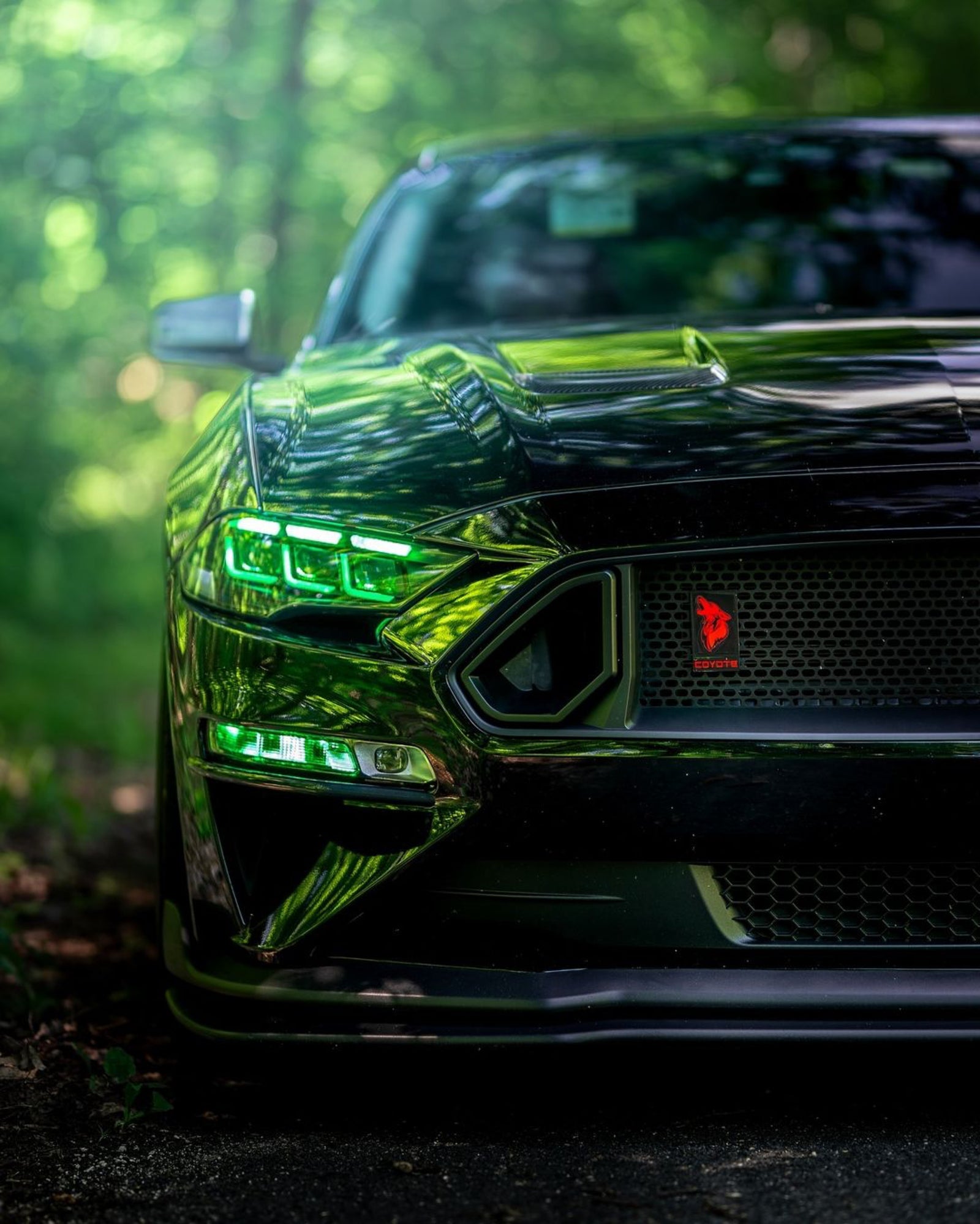 Striker Lights - Premium Aftermarket Car Lighting Accessories